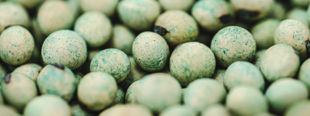 Protergium - Sustainable agriculture with bio-inputs